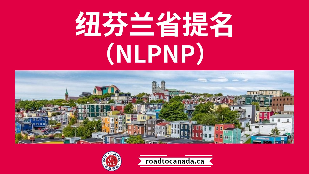 纽芬兰省省提名（NLPNP） - Road to Canada